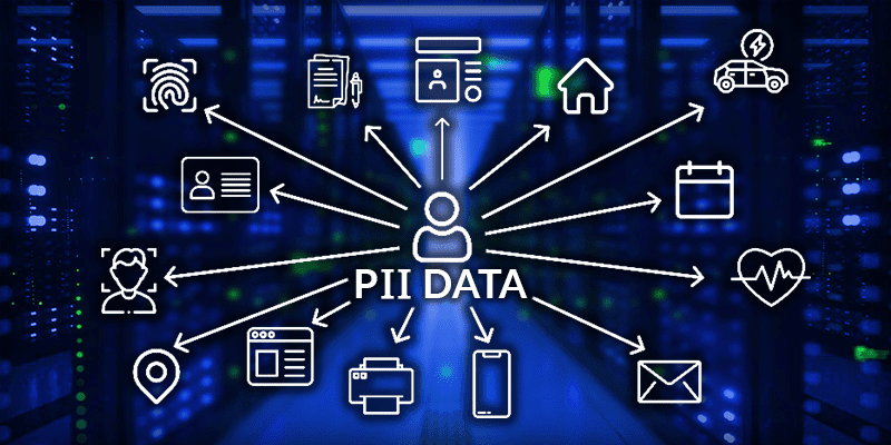 How Can Businesses Ensure Compliance? Our Guide to PII Protection